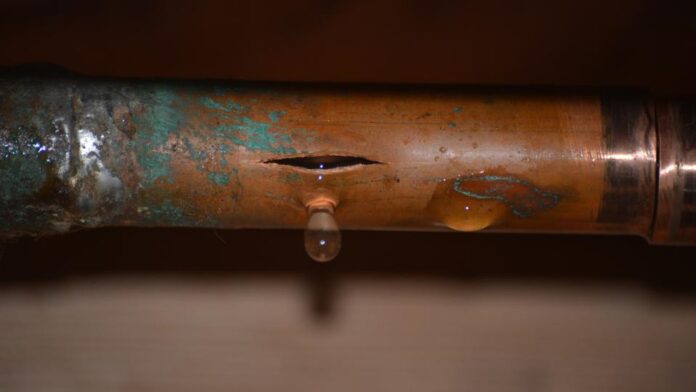 3 Tips for Fixing Damaged Sewer Pipes - 2024 Guide - Utah Pulse