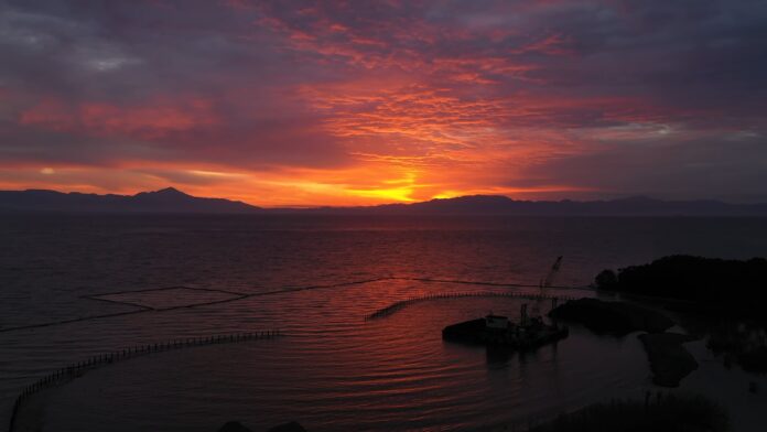 Japan: Discover the Land of the Rising Sun in 2024 - Utah Pulse