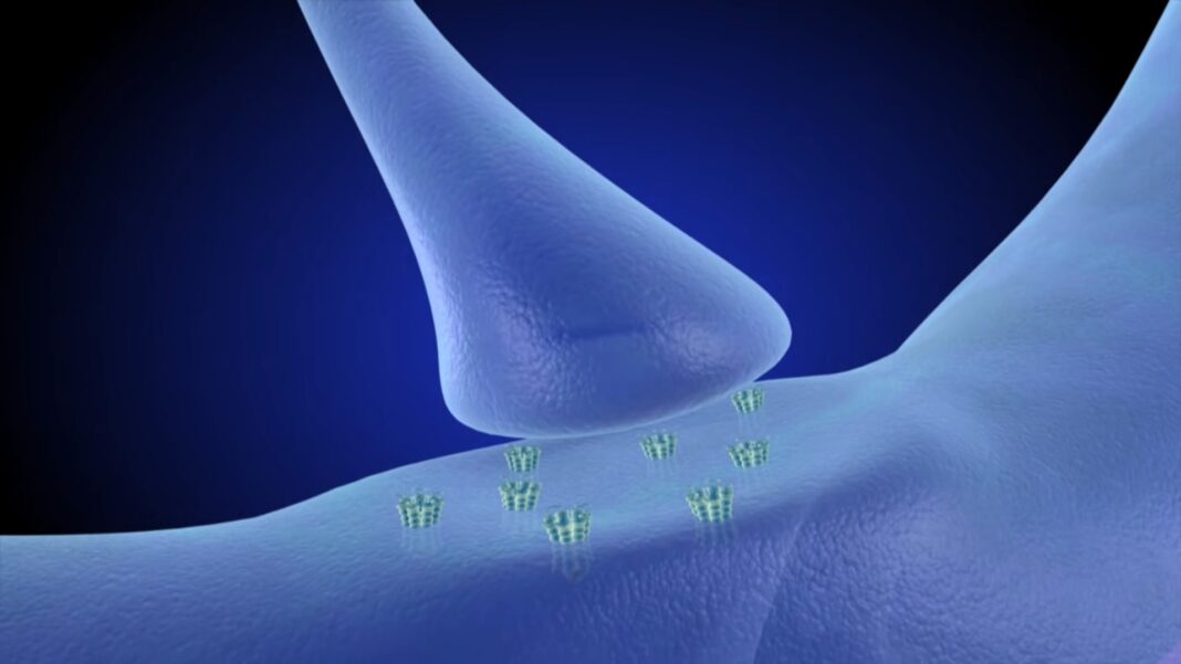 Cannabis and Creativity: Exploring the Connection Between Marijuana and ...