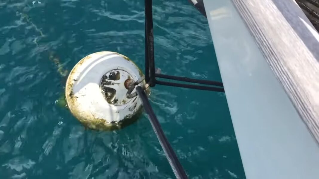 Mooring Buoys 101: Exploring Types and Their Practical Usage - Utah Pulse