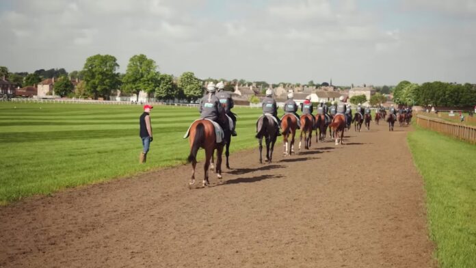 Exploring the History of Horse Betting: From Ancient Tracks to Modern ...